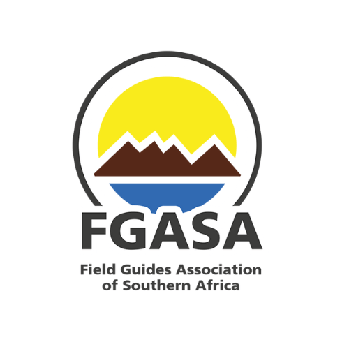 Become A Pangolin Guardian